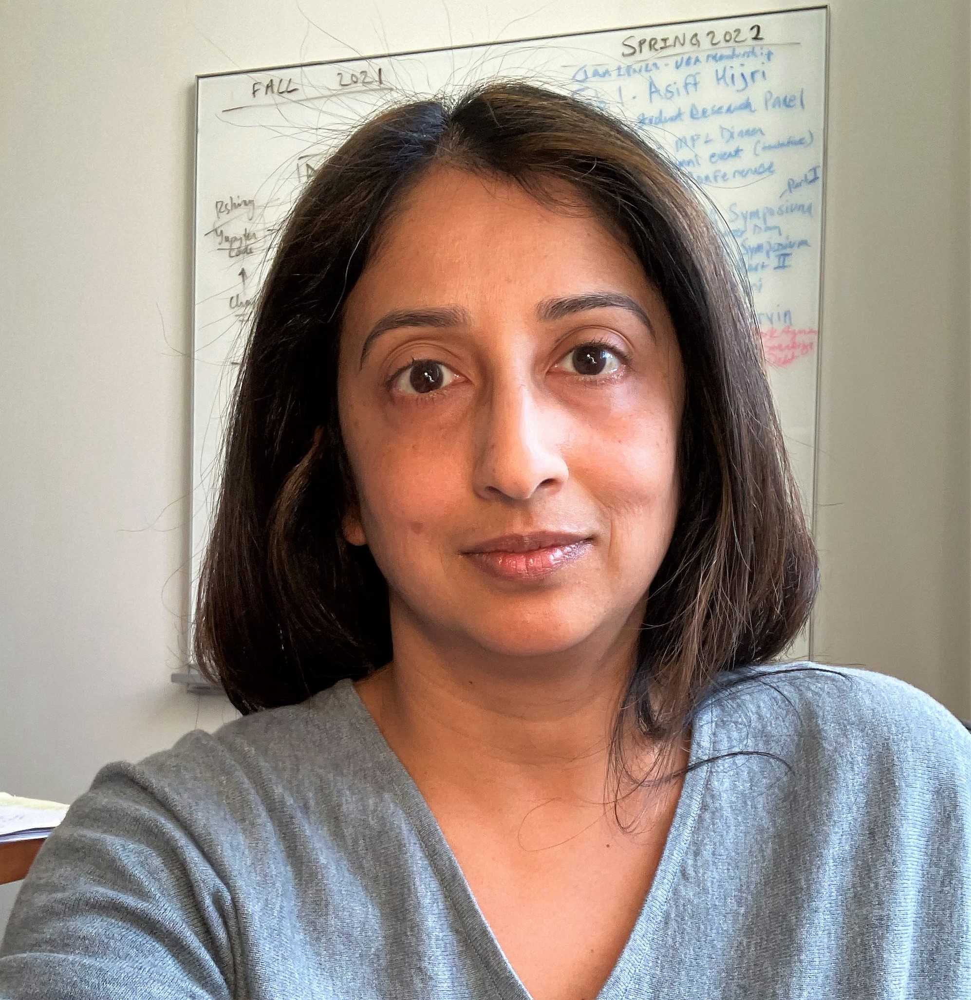 pallavi | Princeton School of Public and International Affairs